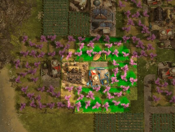 Anno 1404 Layouts – torgue.net